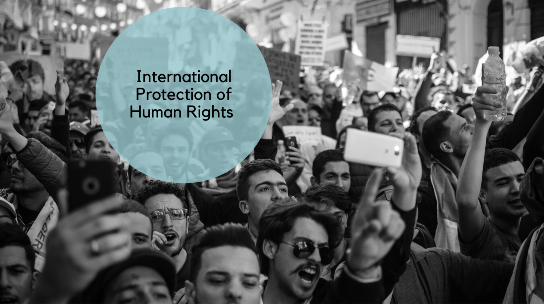 International Protection of Human Rights | Professional Development by ...
