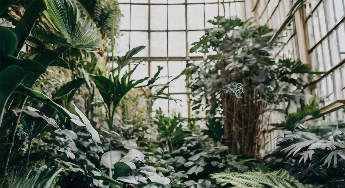 Indoor Vegetation in Built Environments | CE Architects by learnformula