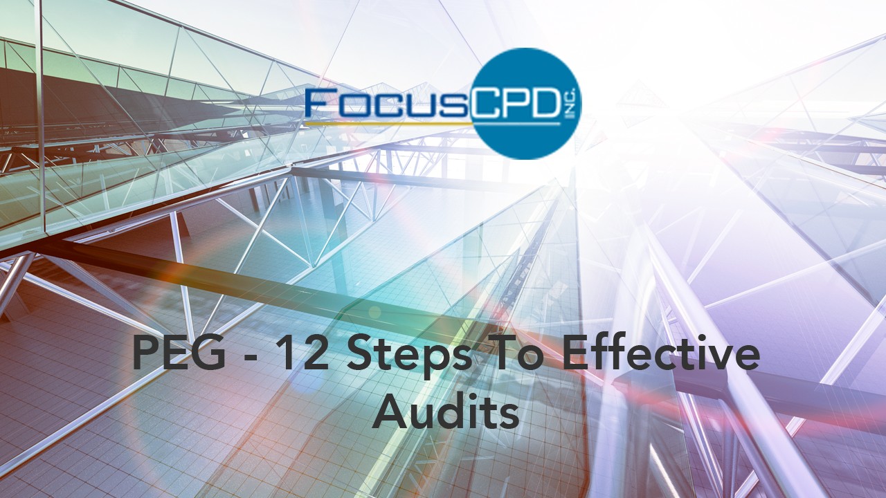 PEG – A 12 Step Approach to an Efficient and Effective Audit ...
