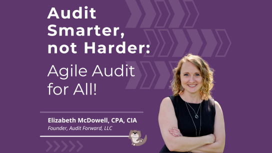 Audit Smarter Not Harder Agile Audit For All Professional Development By Learnformula