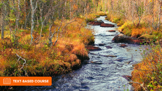 Treatment Techniques for Streambank Stabilization | CPD Engineers by learnformula