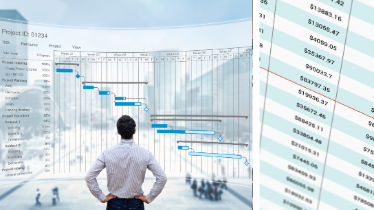 Excel for Project Management | Professional Development by learnformula