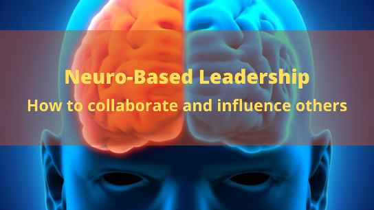 Leadership: Brain to Brain Management for the Modern Leader ...