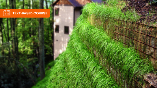 Design of Vegetative Rock Retaining Walls | Professional Development by ...