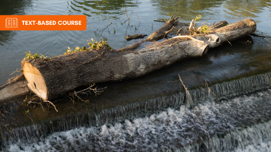 Use of Wood Materials for Habitat / Bank Protection | CPD Engineers by ...