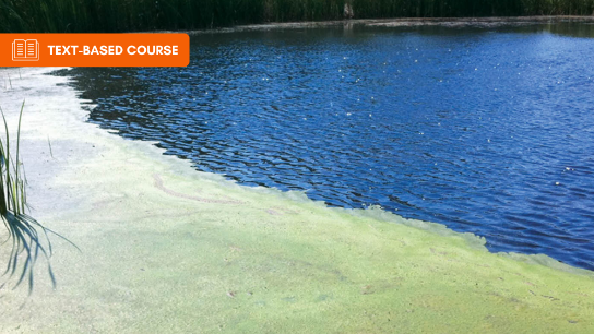 Guide to Embankment and Excavation Pond Systems | PE Courses by ...