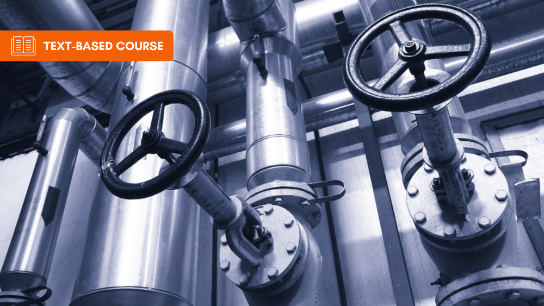 Comprehensive Guide to Liquid Process Piping | CPD Engineers by learnformula