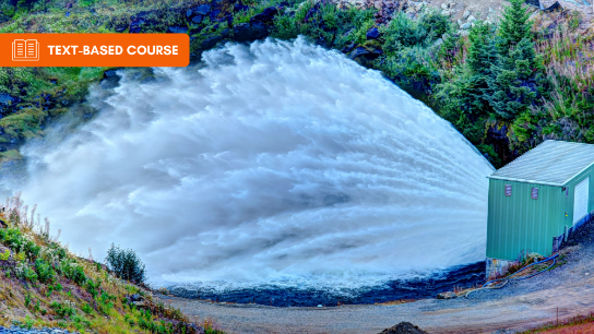 FEMA: Impacts of Plants on Earthen Dams | NZ Engineers CPD by learnformula