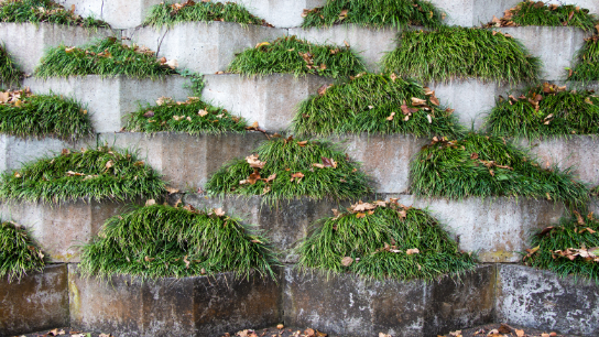 30-HOUR PACKAGE: Retaining Walls and Grade Stabilization | PE Courses ...