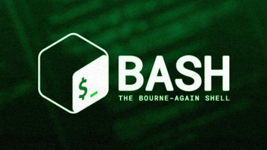 Learn Bash Scripting From Scratch | AU & NZ CPD by learnformula