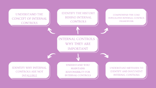 Internal Controls – Why They Are Important (Text-Based) | AU & NZ CPD by learnformula